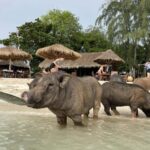 Koh Samui: Koh Madsum & Koh Tan Speed Catamaran Tour - What Travelers Can Expect