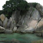 Koh Samui Local Market Hin Ta Hin Yai and Beach Dinner - Discovering the Highlights of the Tour