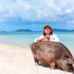 Koh Samui: Pink Dolphin, Pig Island, and Snorkeling Day Trip - Practical Details and Value