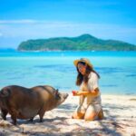 Koh Samui: Private Longtail Boat to Pig Island with Snorkel - A detailed look at the tour experience