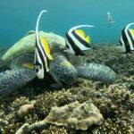 Koh Tao: Advance Open Water Diver 2 Days Course - What to Expect During the Course