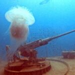 Koh Tao: SCUBA Open water certification - The Sum Up