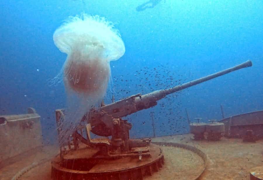 Koh Tao: SCUBA Open water certification - The Sum Up