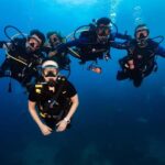 Koh Tao: Try Scuba Diving Experience + Hotel Pickup 2-dives - What Makes This Experience Stand Out?
