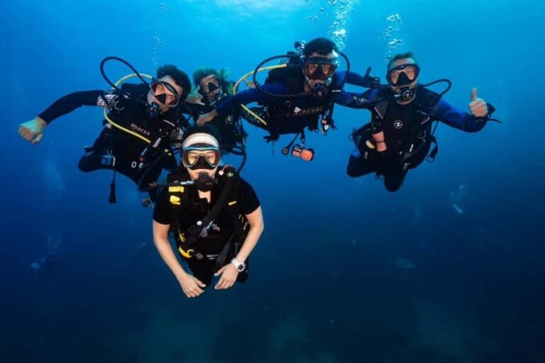 Koh Tao: Try Scuba Diving Experience + Hotel Pickup 2-dives - What Makes This Experience Stand Out?