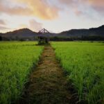 Koh Yao Noi: The Local Way of Life Eco Half-Day Tour - How This Tour Fits Into Your Koh Yao Noi Visit