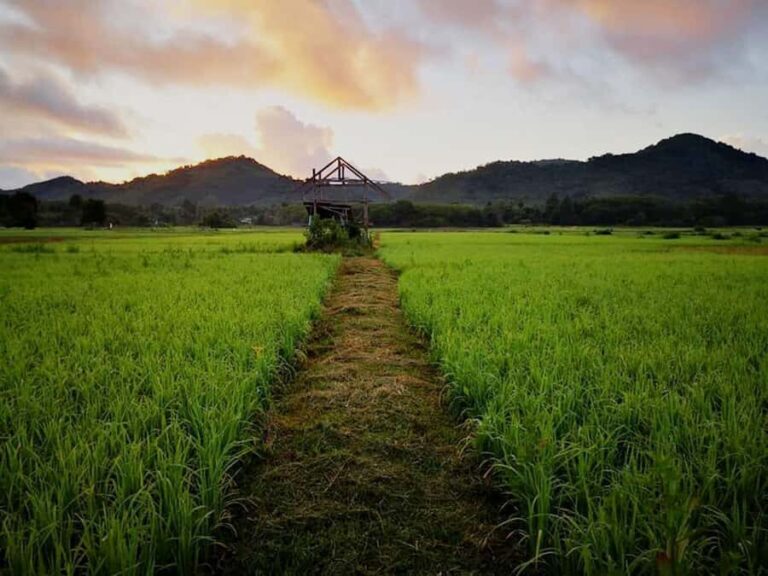 Koh Yao Noi: The Local Way of Life Eco Half-Day Tour - How This Tour Fits Into Your Koh Yao Noi Visit