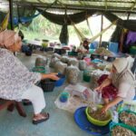 Koh Yao Yai: Eco-Cultural Experience with Beach Lunch - Detailed Breakdown of the Tour Experience