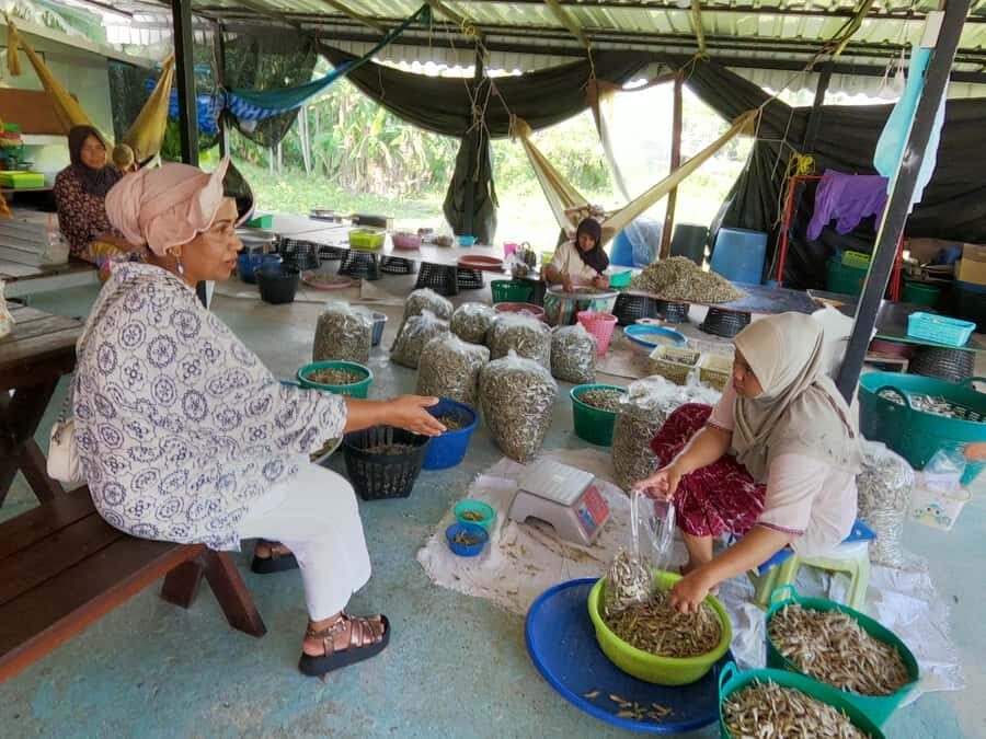 Koh Yao Yai: Eco-Cultural Experience with Beach Lunch - Detailed Breakdown of the Tour Experience