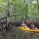 Koh Yao Yai Mangrove Forest Kayak with Local Life Discovery Tour - Paddling Through Hidden Lagoons and Tranquil Waterways