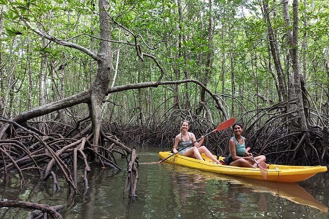 Koh Yao Yai Mangrove Forest Kayak with Local Life Discovery Tour - Paddling Through Hidden Lagoons and Tranquil Waterways