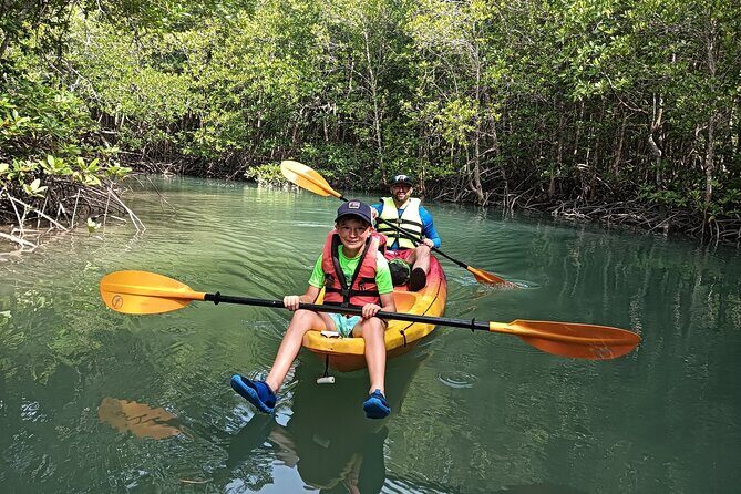 Koh Yao Yai Mangrove Forest Kayaking and Local Village with Lunch - The Sum Up