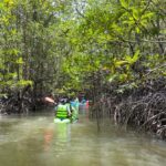 Koh Yao Yai : Mangrove Kayaking Adventure - Who Will Love This Tour?
