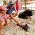 kohsamui.tours - Pig Island Snorkeling Eco Tour by Speed Boat - Detailed Itinerary Breakdown