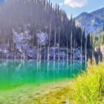 Kolsai / Kaindy Lake / Charyn Canyon one-day tour (choose 2 of the 3 sights) - Authentic Experiences and Traveler Feedback