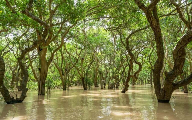 Kompong Pluk Tour - First Stop: Local Pagoda or Market