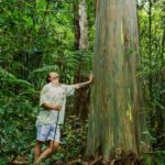 Kona Cloud Forest Sanctuary Montane Jungle Tour (2.5 hrs) - What to Expect on the Tour