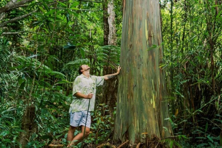 Kona Cloud Forest Sanctuary Montane Jungle Tour (2.5 hrs) - What to Expect on the Tour