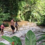 Konoko Falls and Tropical Garden Tour from Runaway Bay - Transportation and Group Size