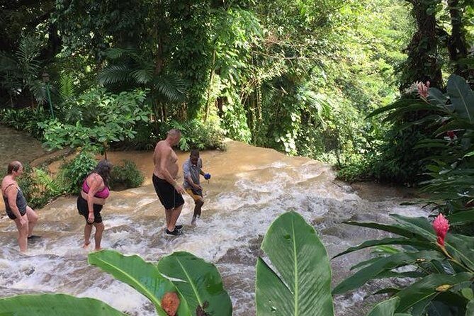 Konoko Falls and Tropical Garden Tour from Runaway Bay - Transportation and Group Size