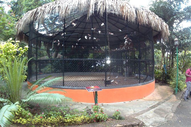 konoko waterfall and zoo - The Logistics: Transportation, Timing, and Group Size