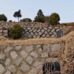 Korean Cemetery and Folklore Trek - Who Will Love This Tour?