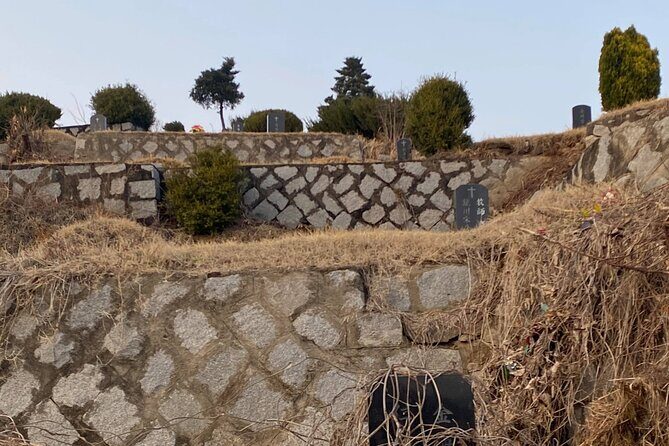 Korean Cemetery and Folklore Trek - Who Will Love This Tour?