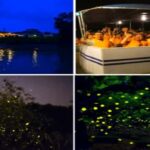 Kota Kinabalu: 5-in-1 Kinabalu View, Fire Show, Blue Tear - The Value for Travelers