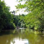 Kota Kinabalu: Beringgis Mangove Fireflies, Sunset Tour & Dinner - Practical Details and What They Mean for Travelers