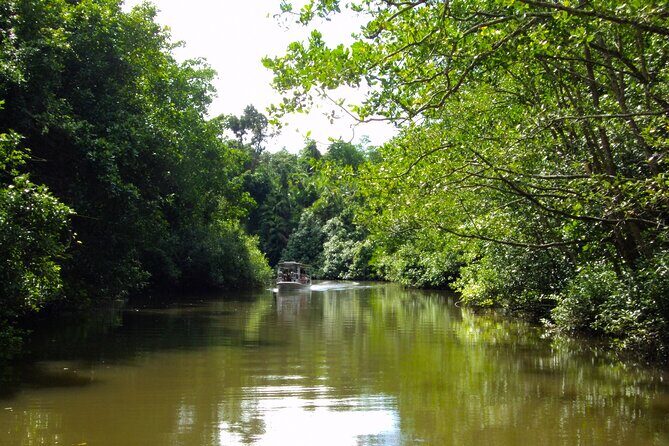 Kota Kinabalu: Beringgis Mangove Fireflies, Sunset Tour & Dinner - Practical Details and What They Mean for Travelers