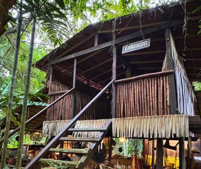 Kota Kinabalu: Monsopiad Village & River Cruise Package - Wildlife and River Life: Bongawan River Cruise