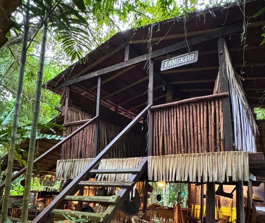 Kota Kinabalu: Monsopiad Village & River Cruise Package - Wildlife and River Life: Bongawan River Cruise