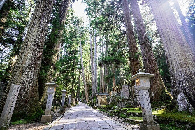 Koyasan Day Trip by Private Car from Osaka - A Day Full of Unique Stops and Experiences