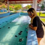 Krabi: Bamboo Raft, ATV & Sea Turtle Private Tour Khao Lak - What to Expect and What to Bring