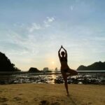 Krabi: Bioluminescent Plankton, 7 Islands sunset Tour & BBQ - The Magic of Bioluminescent Plankton