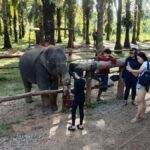 Krabi Elephant bathing and Atv adventure (30min/30min) - The Value of This Tour