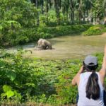 Krabi: Elephant Sanctuary Tour - Feeding & Painting Activity - Authentic Feedback from Reviews