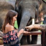 Krabi: Ethical Elephant Care Experience with Hotel Transfer - The Itinerary in Detail