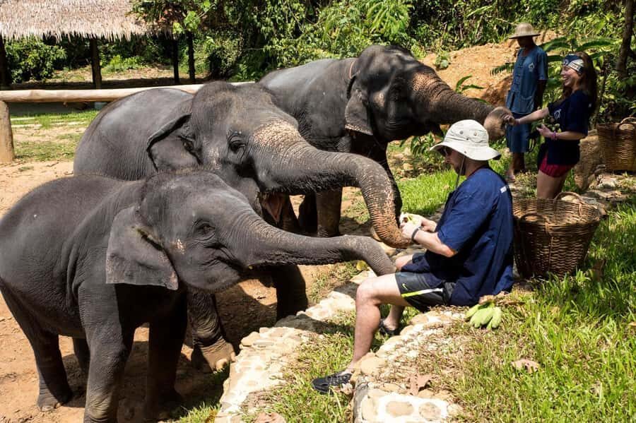Krabi: Ethical Elephant Sanctuary Experience - Practical Details and Tips