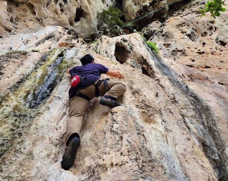 Krabi: Half-Day Rock Climbing at Railay Beach - Who Will Enjoy This Tour?