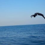 Krabi: Hong Island Cruise by Double Decker Boat - What Makes This Tour Stand Out?