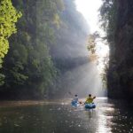 Krabi: Kayaking in Ao Thalane Bay Beautiful Mangrove Forest - Transportation and Group Size
