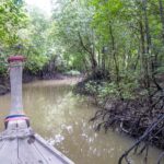 Krabi: Mangrove Magic & Koh Klang Charm by Longtail Boat - Exploring the Itinerary: What to Expect