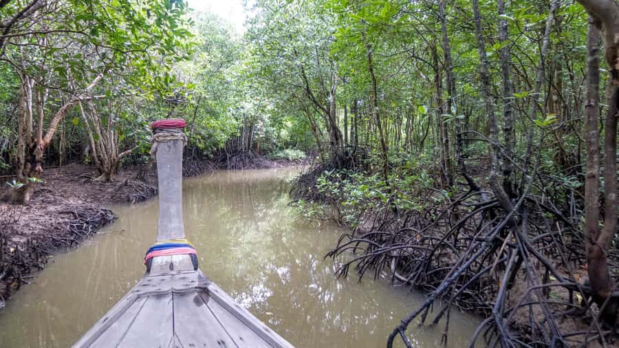 Krabi: Mangrove Magic & Koh Klang Charm by Longtail Boat - Exploring the Itinerary: What to Expect