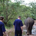 Krabi: Unique Dusk Ethical Elephant Sanctuary Experience - The Itinerary: A Step-by-Step Breakdown