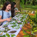 Krabi's Trio: Klong Root Kayak, Pineapple Farm & Local Art - What Makes This Tour Stand Out?