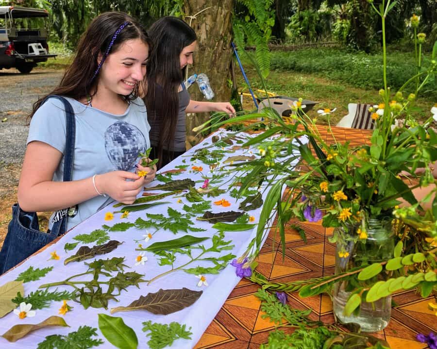 Krabi's Trio: Klong Root Kayak, Pineapple Farm & Local Art - What Makes This Tour Stand Out?