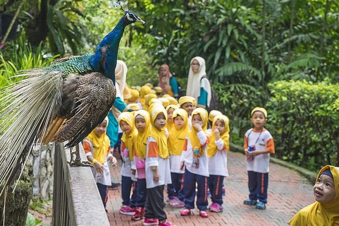 Kuala Lumpur Bird Park & Butterfly Farm Tour - Discovering the Kuala Lumpur Butterfly Farm