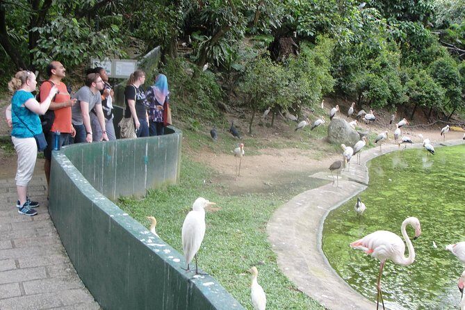 Kuala Lumpur Bird Park With Return Transfers - Who Should Book This Tour?