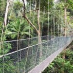 Kuala Lumpur Bus Tour Experience 3 Days - What Sets This Tour Apart